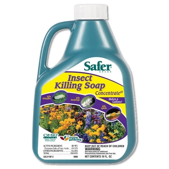 Insecticidal Soap (Potassium Salts) - Cannabis Horticultural Association