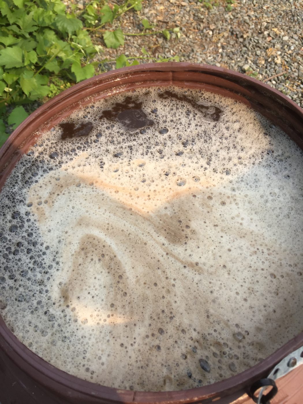 Compost Tea Feeding Schedules - Cannabis Horticultural Association